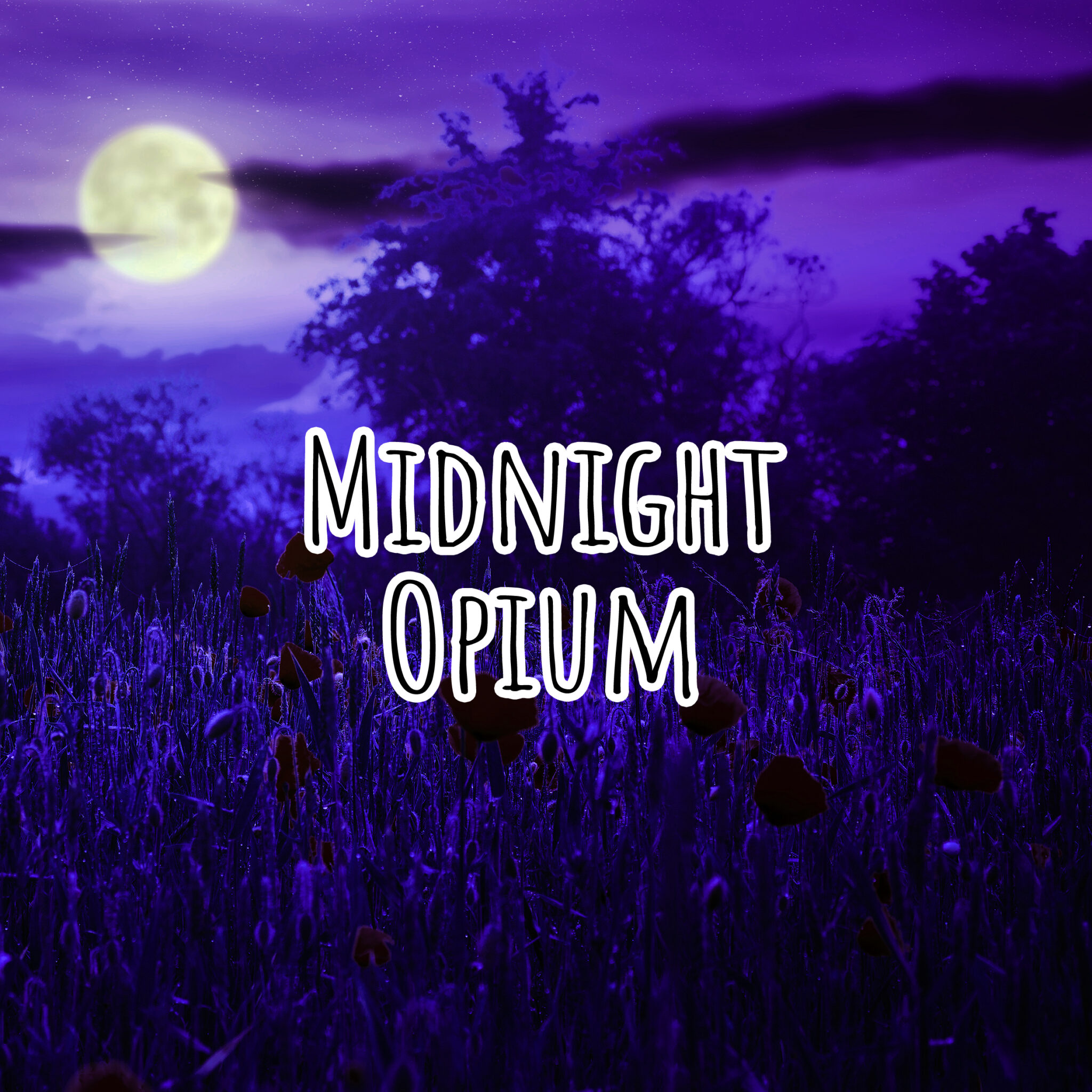 Midnight Opium Fragrance | Fragrance Oil | Soak Rochford